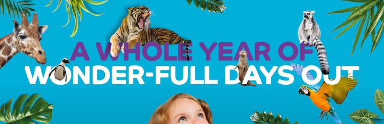 London Zoo Cashback Discounts, Offers & Deals